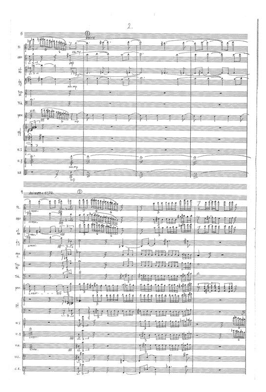 Sunleif Rasmussen Sheet Music for Orchestra » Buy Online